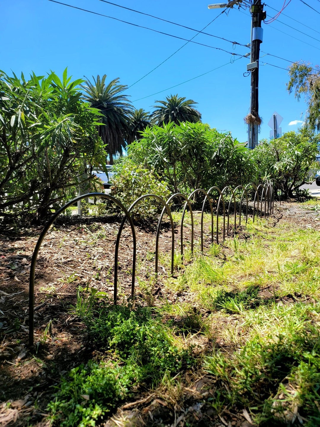 Garden Edging Hoops Steel 5 Pack Australia Wide Shipping - Etsy Australia