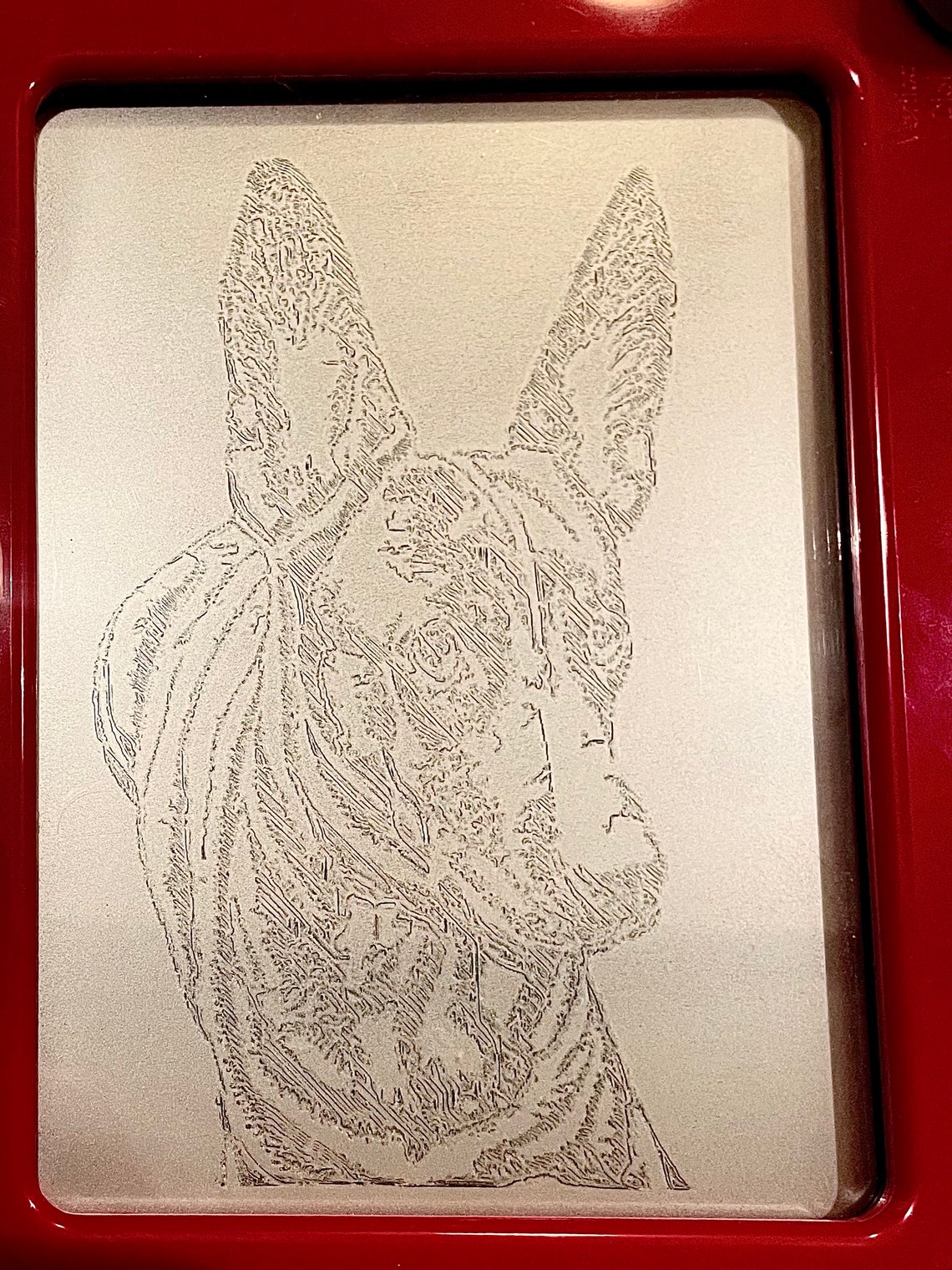 Custom Pet or Animal Etch A Sketch - Etsy