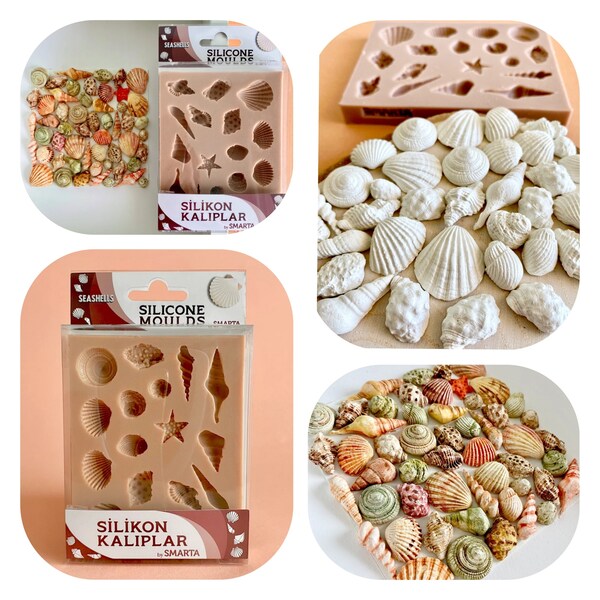 Seashell Silicone Molds - Etsy