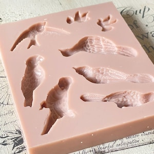 Birds Polymer Clay Mould - Silicone Molds for DIY Project - 8 Pcs Bird ...