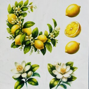 Lemon Transfer Decal for Furniture | Custom Water Slide Craft Paper ...