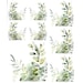 Abstract Leaf Water Slide Decal | Soft Green Botanical Transfer for ...