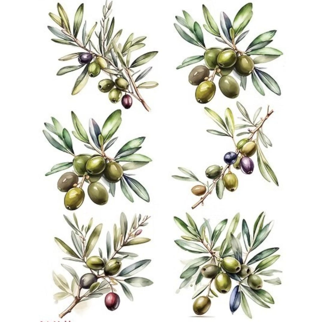 Olive Decor Transfer for Furniture | Redesign Water Slide Decal | Olive ...