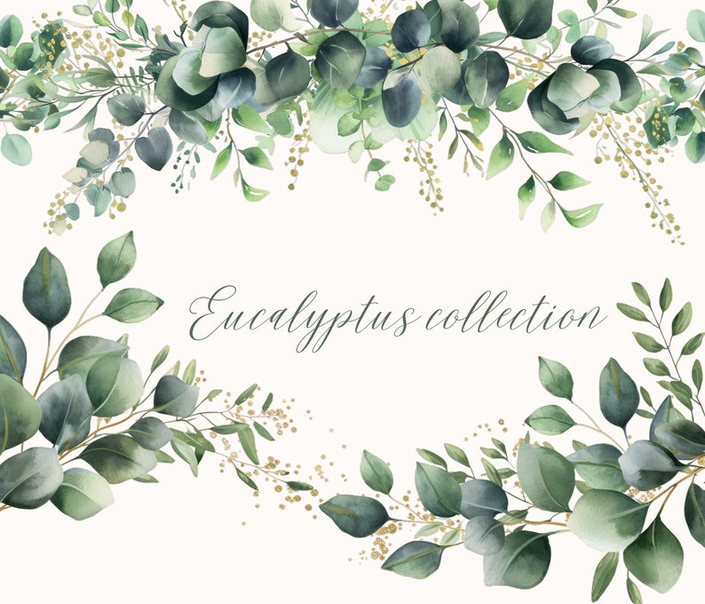 Watercolor Eucalyptus Clipart: Greenery & Gold PNG Images (digital ...