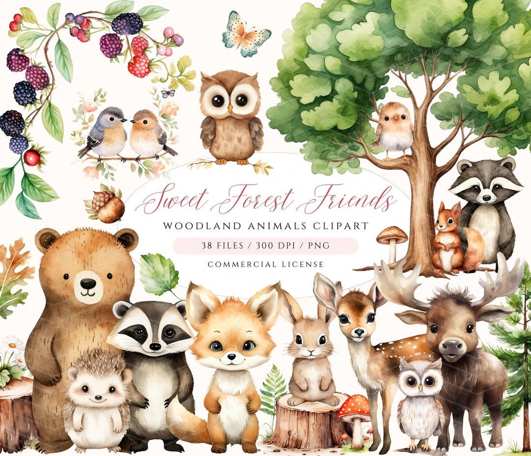 Watercolor Woodland Animals Clipart: Forest Nursery Decor (digital ...