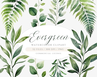 Watercolor Eucalyptus Border Greenery Frame Clipart - Etsy
