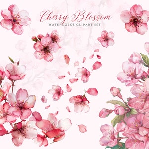 Watercolor Cherry Blossom Clipart: Spring Sakura Floral PNG (digital ...