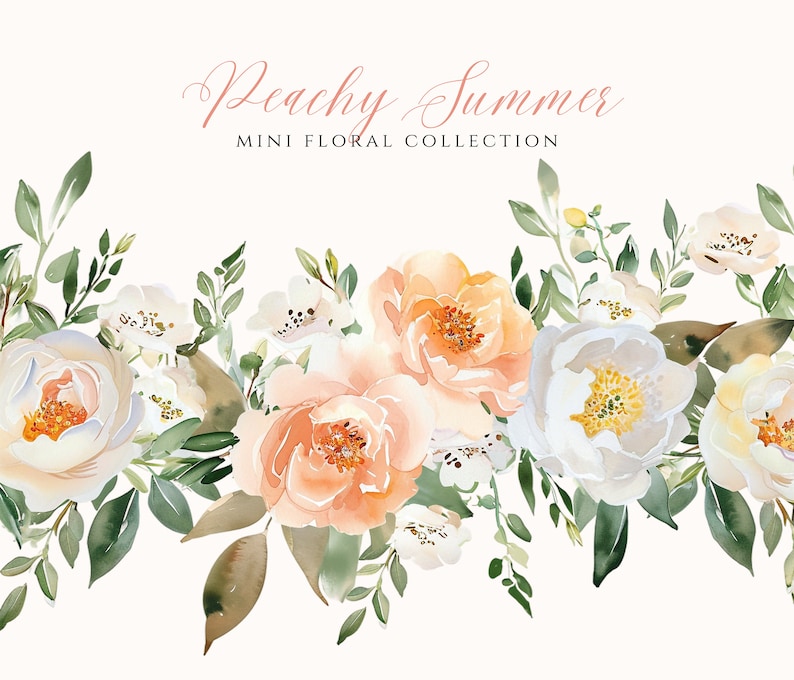 Watercolor Peach Floral Clipart: Blush Flower Pngs (commercial Use ...