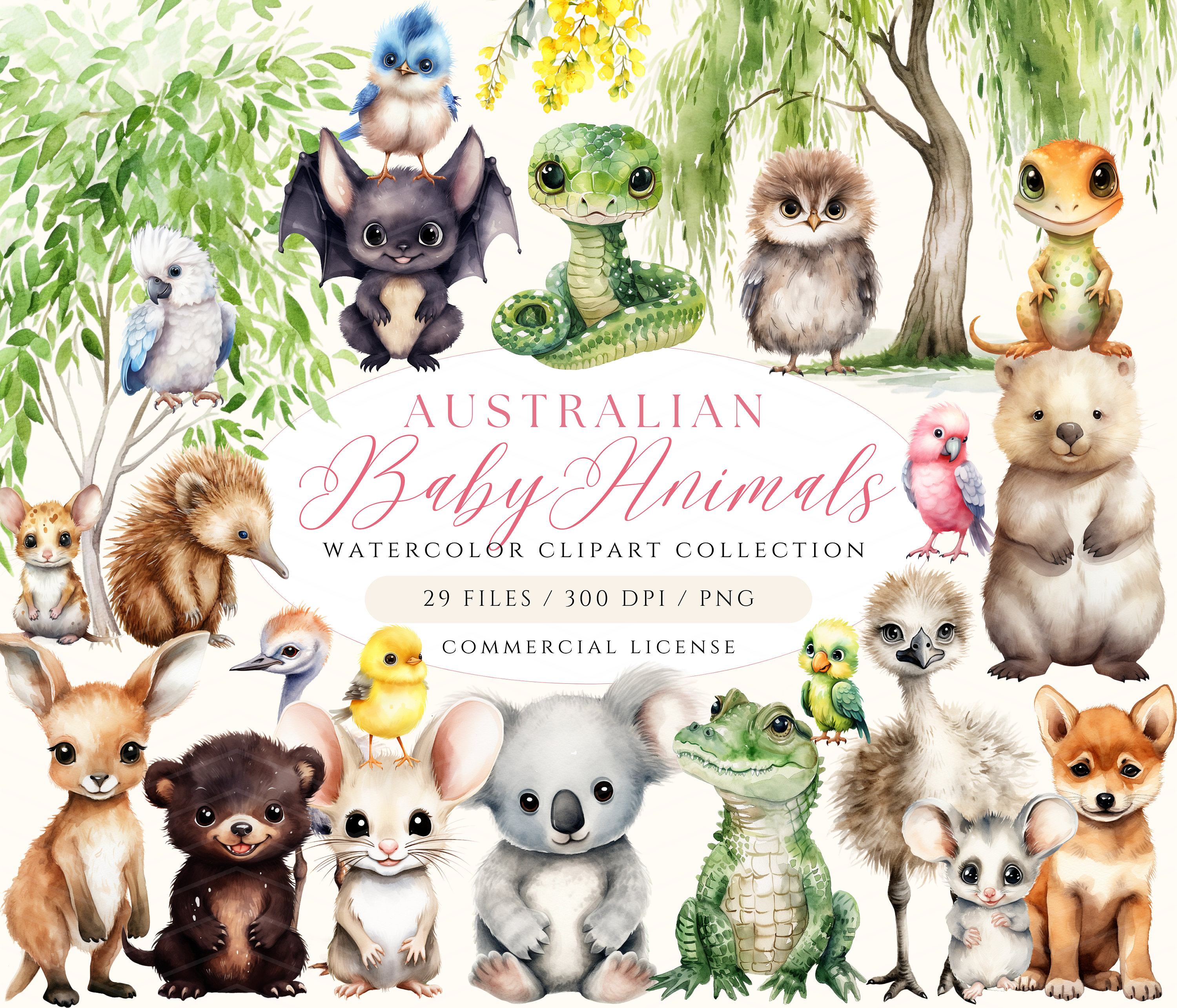 Australian Baby Animal Clipart, Nursery Art PNG (digital Download) - Etsy