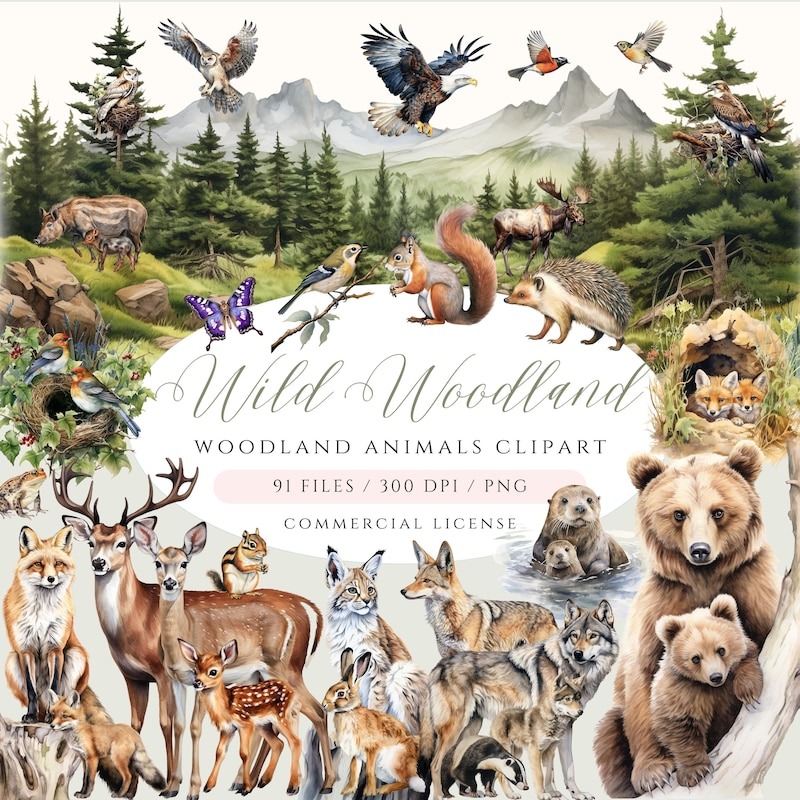 Woodland Animals Clipart - Etsy