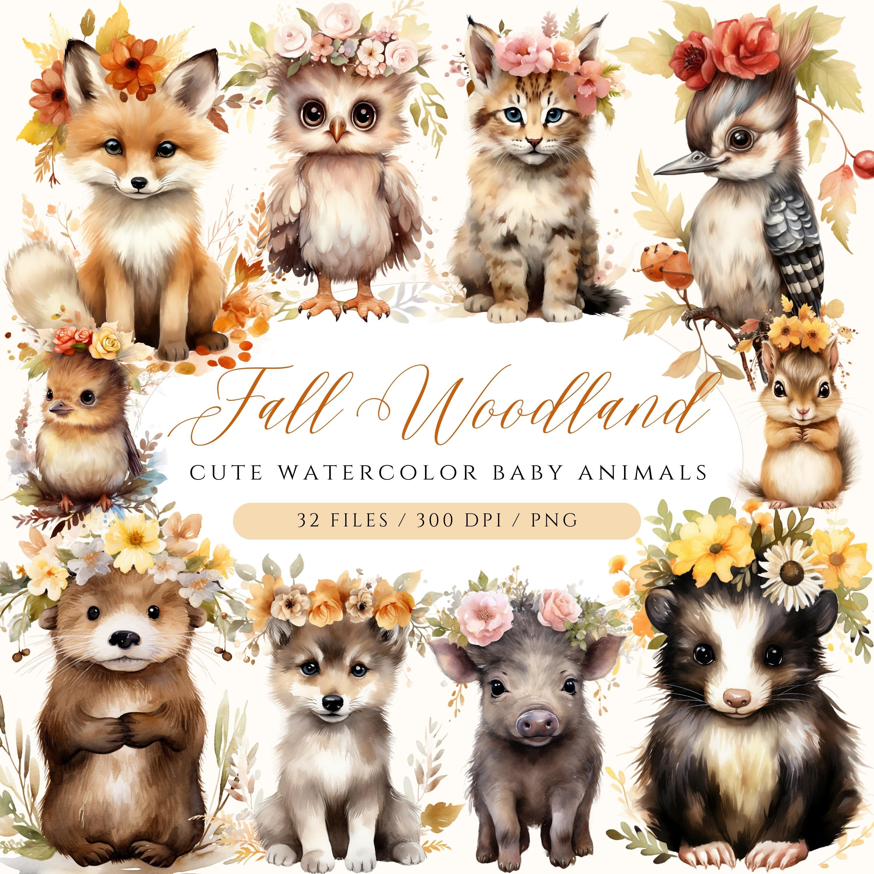 Woodland Baby Animals Clipart Bundle Cute Fall Baby Animals - Etsy