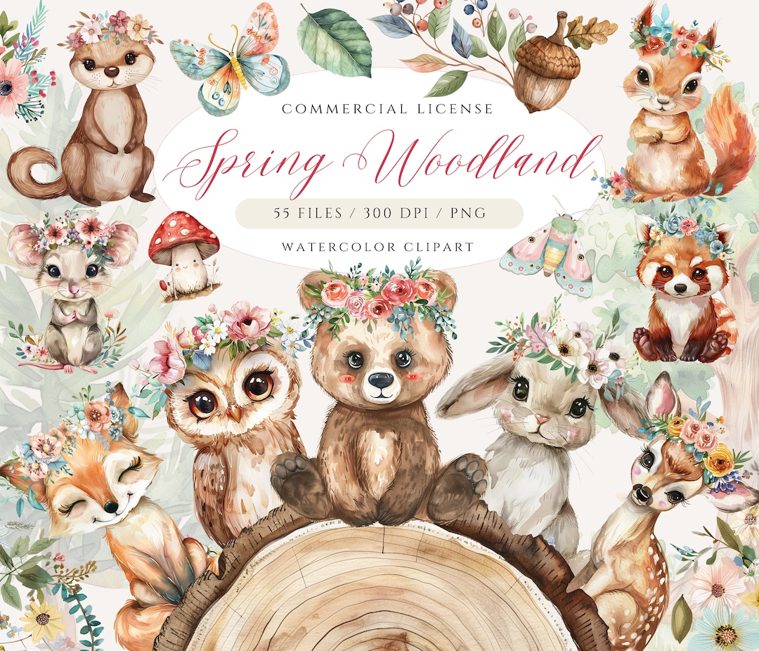 Spring Woodland Clipart, Cute Woodland Animals Watercolor Clipart, Baby ...