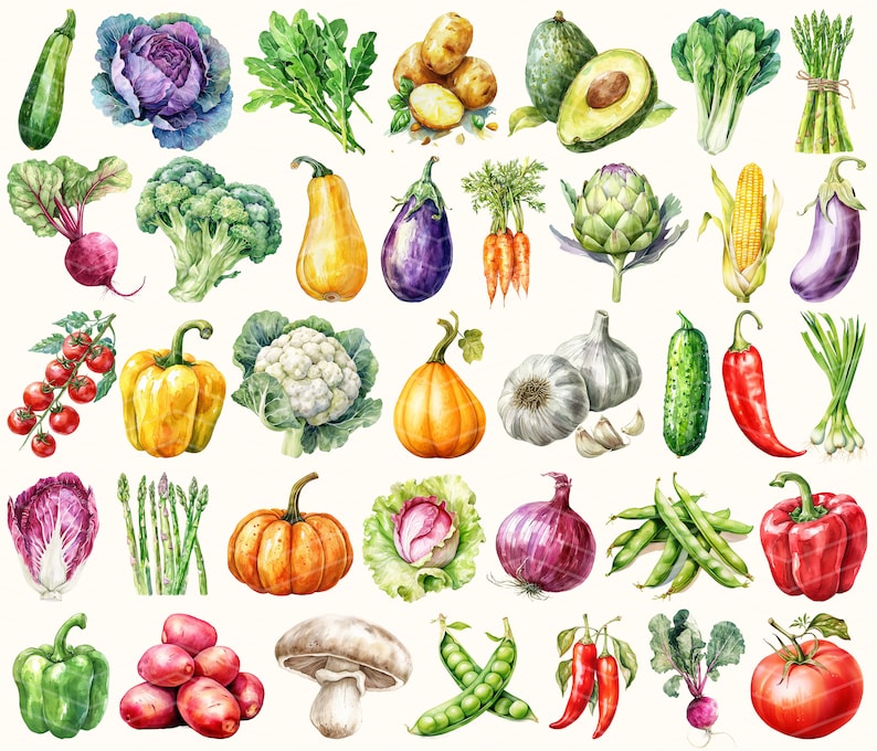 Vegetable Watercolor Clipart Set: Garden Veggies PNG (digital Download ...