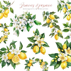 Mediterranean Watercolor Clipart Bundle: Lemon & Tile Designs (PNG ...