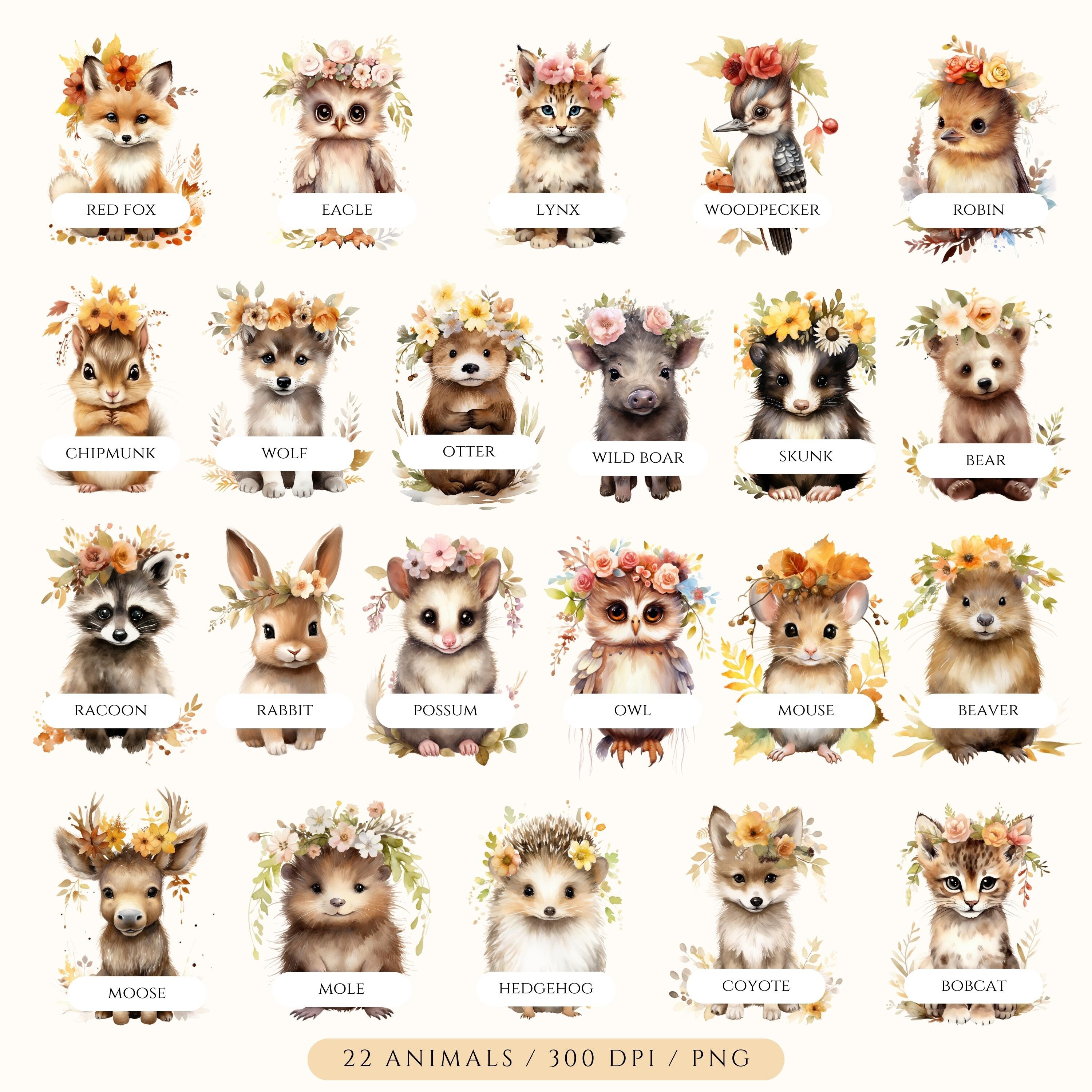 Fall Woodland Animals Clipart Bundle, Watercolor PNG (digital Download ...