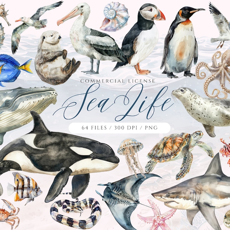 Sea Life Watercolor - Etsy