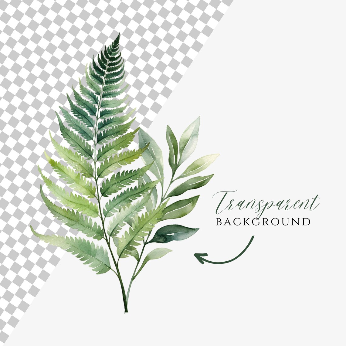 Watercolor Greenery Clipart Bundle DIY Botanical Clipart - Etsy