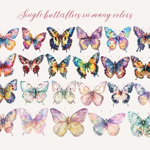Watercolor Butterfly Clipart: Floral Spring PNG (digital Download) - Etsy