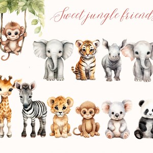 Cute Jungle Animals Clipart, Safari Baby Animal PNG, Watercolor Animal ...