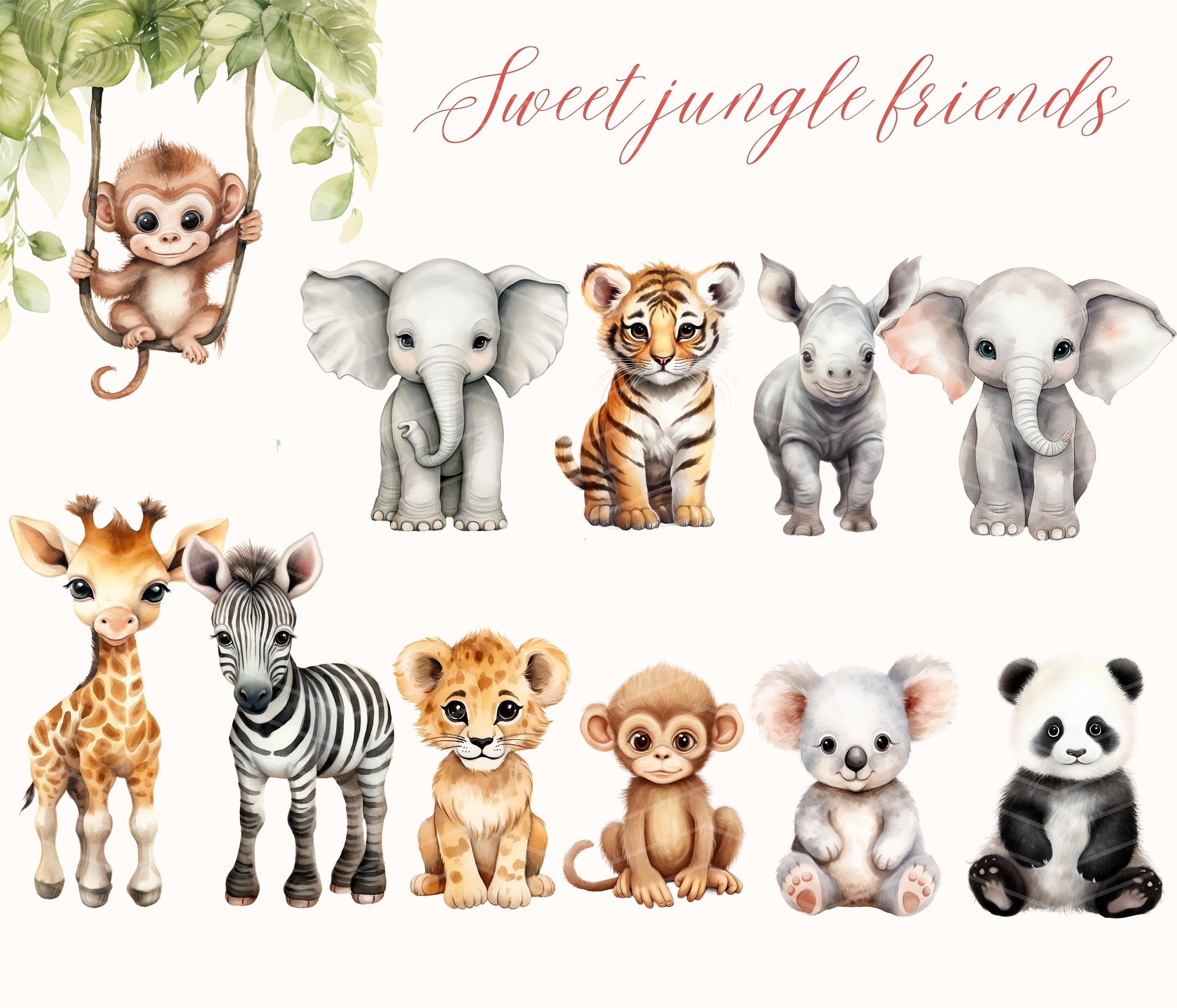 Cute Jungle Animal Clipart Safari Baby Animal PNG Watercolor - Etsy