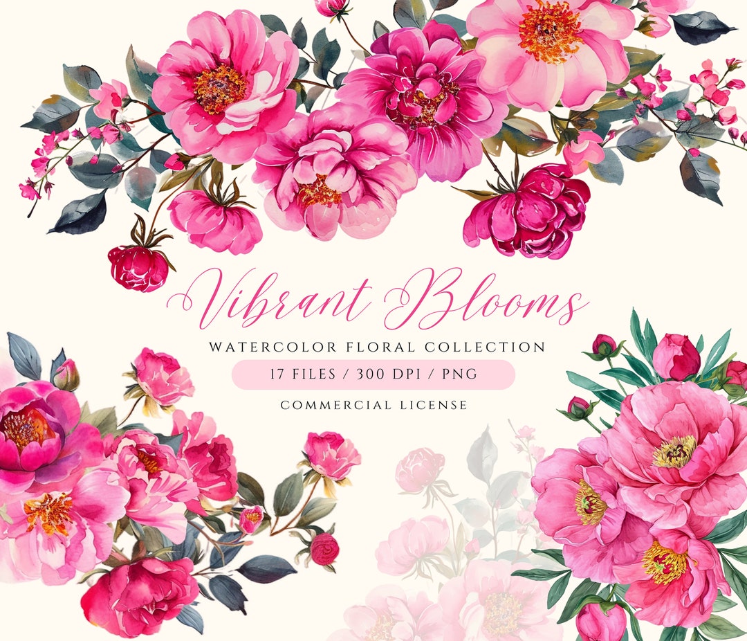 Vibrant Pink Floral Clipart: Watercolor Peonies & Roses (PNG Digital ...