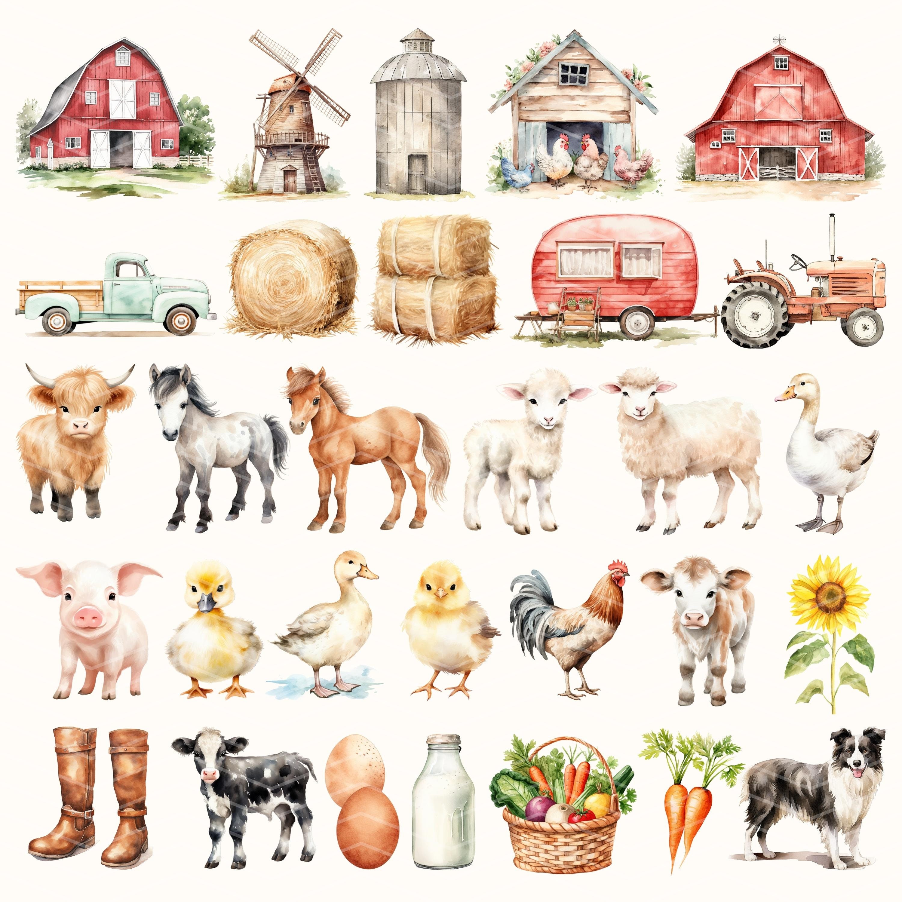 Watercolor Farm Animal Clipart, Baby Animals PNG (commercial Use) - Etsy