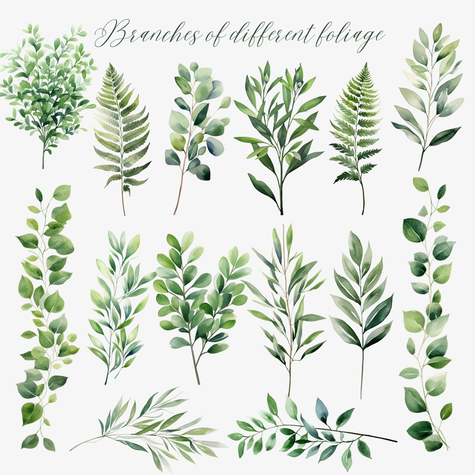 Watercolor Greenery Clipart Bundle DIY Botanical Clipart - Etsy