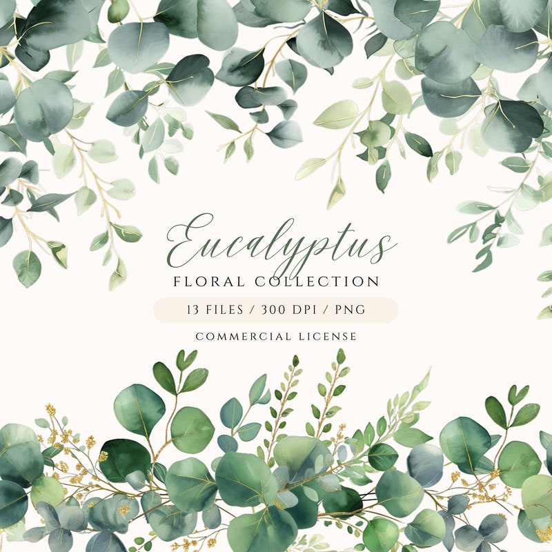Eucalyptus Border Vector - Etsy