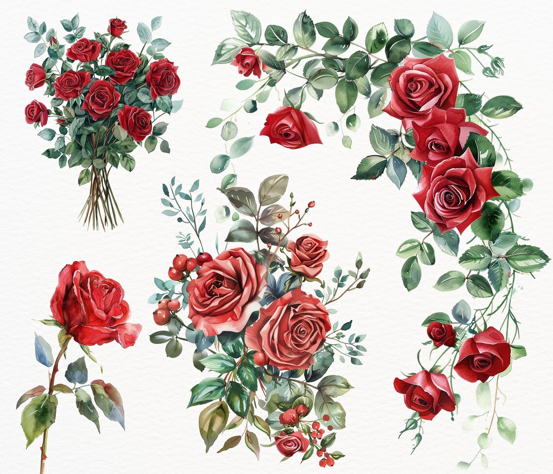 Watercolor Red Rose Clipart: Floral Bouquet PNG (digital Download) - Etsy