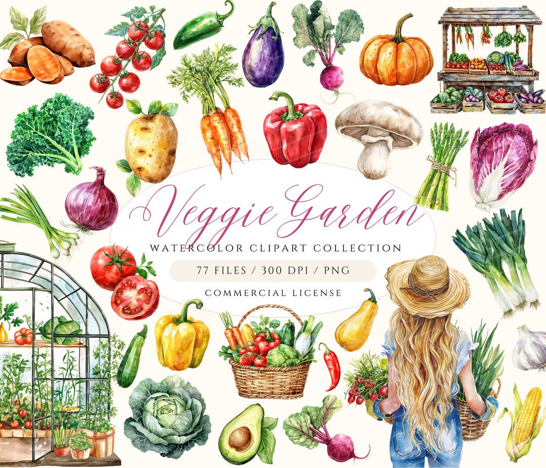 Vegetable Watercolor Clipart Set: Garden Veggies PNG (digital Download ...