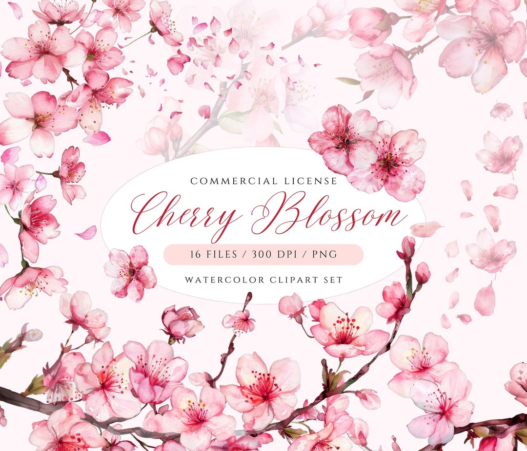 Watercolor Cherry Blossom Clipart: Spring Sakura Floral PNG (digital ...