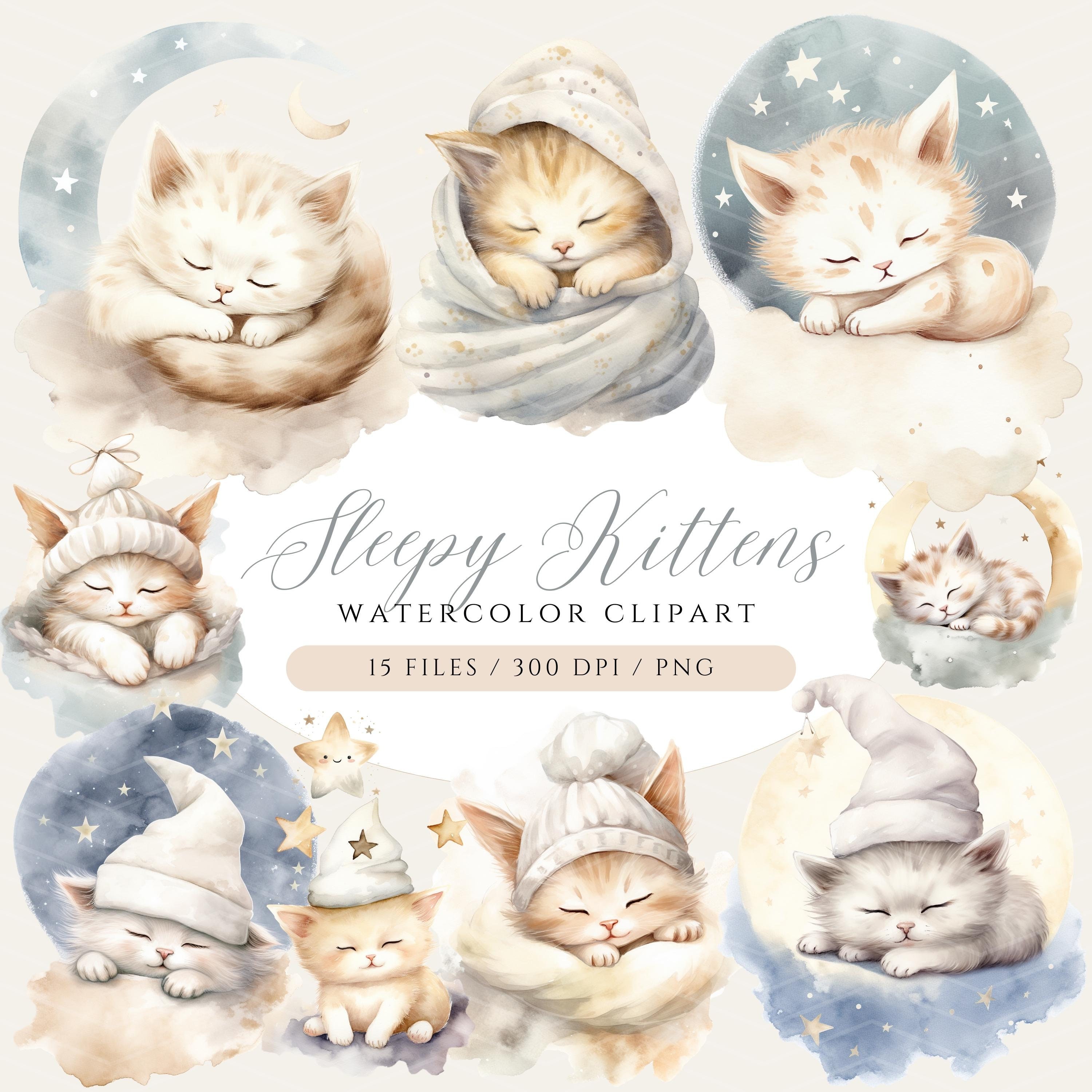 Watercolor Sleepy Kitten Clipart: Baby Shower PNG (digital Download) - Etsy