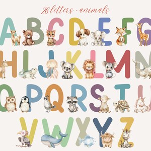 Animal Alphabet Clipart: A-Z Nursery PNG Graphics (digital Download) - Etsy