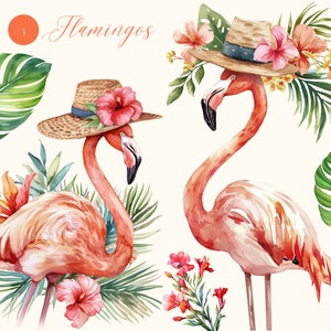 Tropical Clipart Watercolor, Tropicana, Flamingo Clipart, Tropical ...