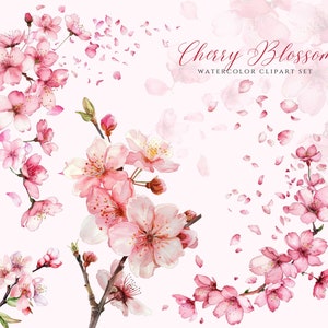 Watercolor Cherry Blossom Clipart: Spring Sakura Floral PNG (digital ...