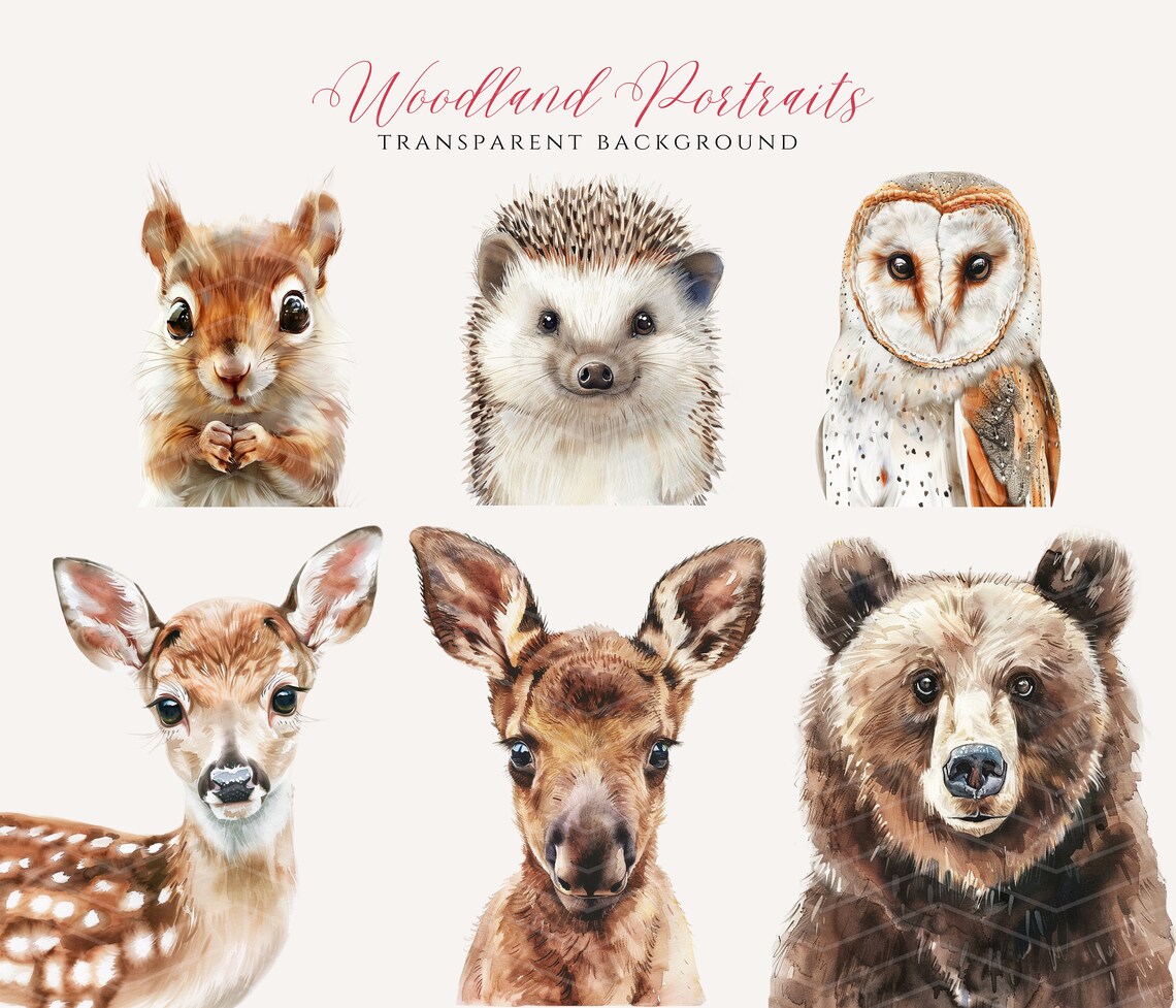 Watercolor Woodland Animal Clipart: Nursery Art PNG (digital Download ...