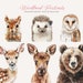 Woodland Animal Portraits, Woodland Clipart, Watercolor Woodland ...