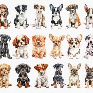 Puppy Clipart Bundle, Cute Dogs Clipart, Dog Breeds PNG, Digital ...