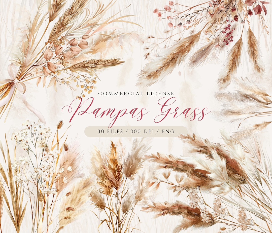 Pampas Grass Clipart, Watercolor Pampas Grass PNG, Boho Floral Clipart ...