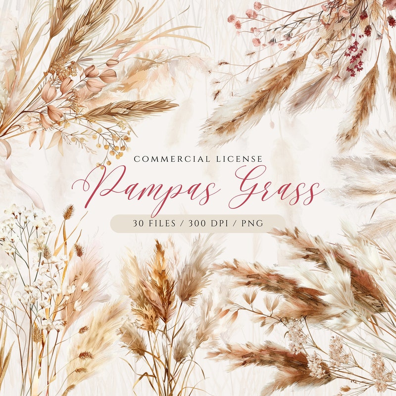 Pampas Grass Clipart - Etsy