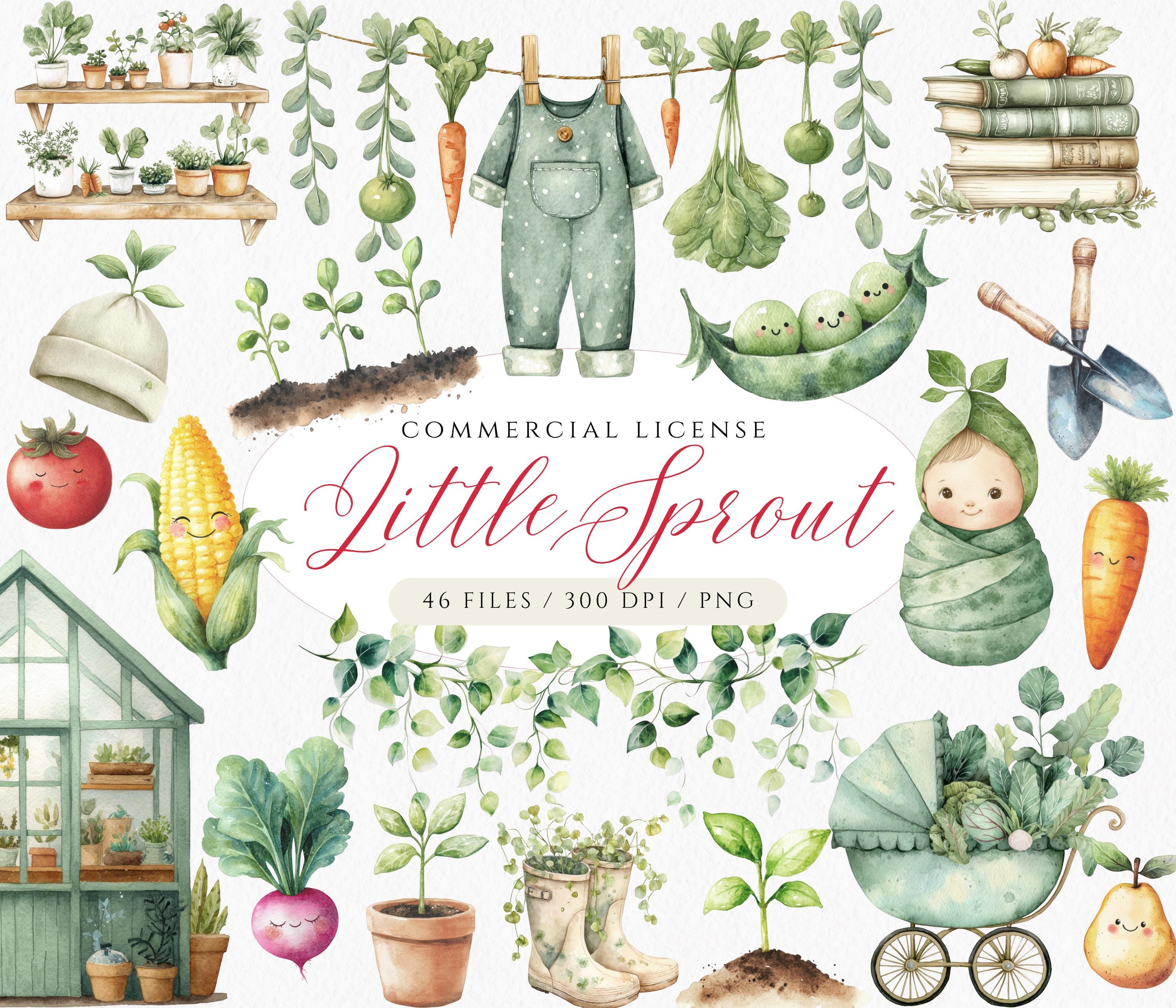 Little Sprout Watercolor Clipart: Locally Grown Farmers Market Fruit ...