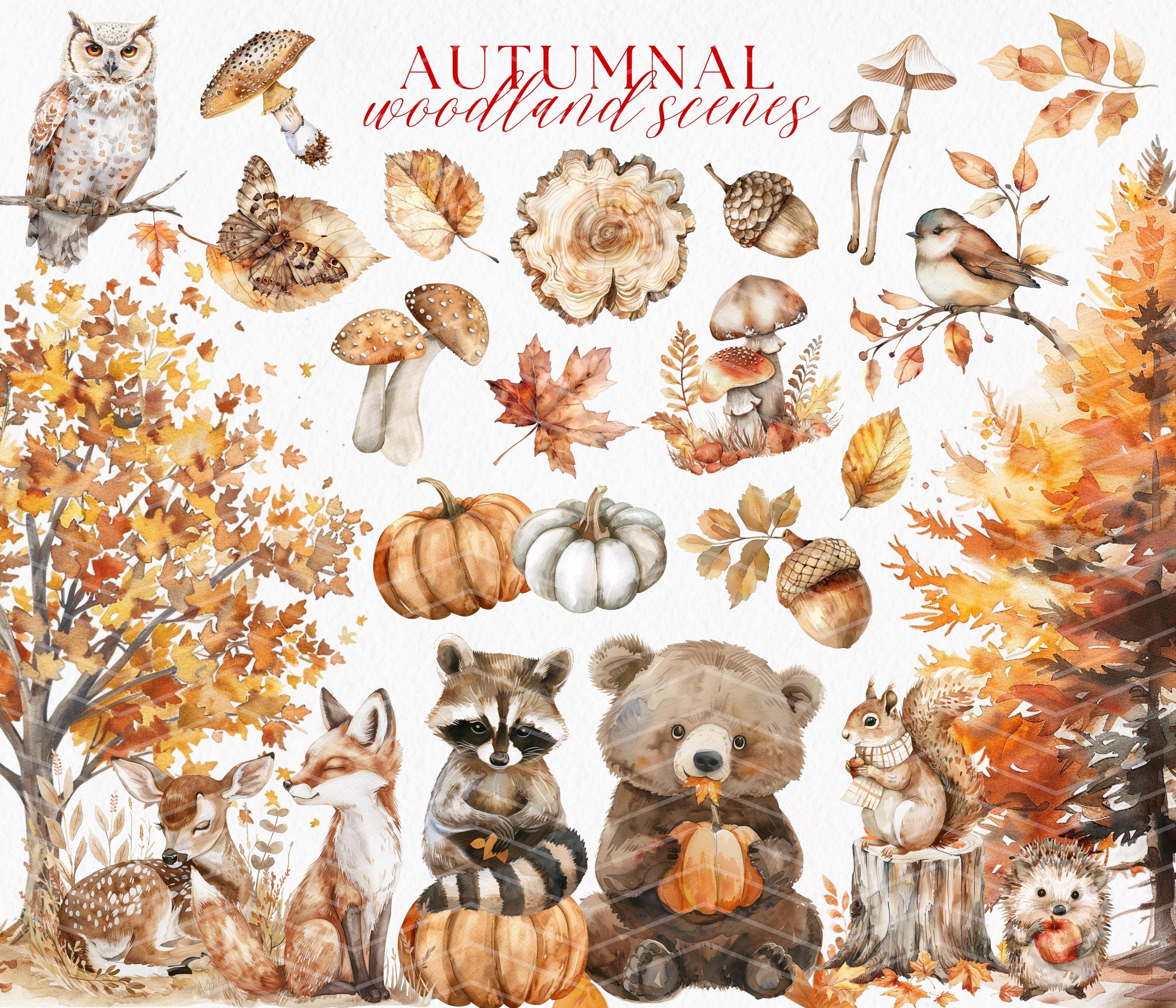 Fall Woodland Clipart: Watercolor Forest Animals, Wreaths, and Borders ...