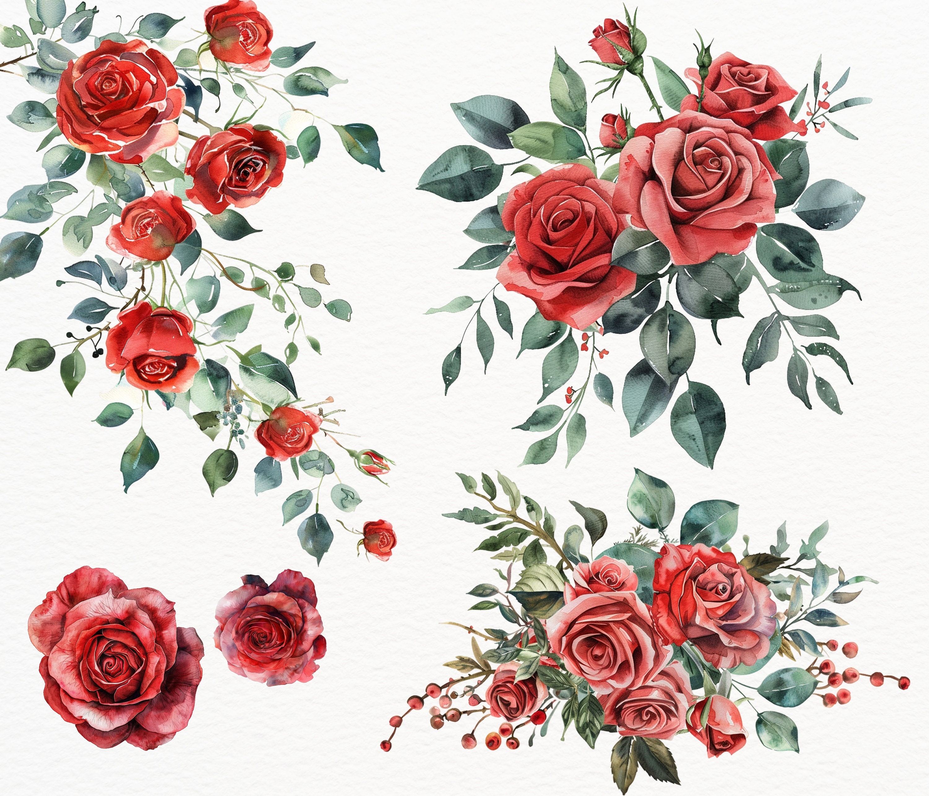 Watercolor Red Rose Clipart: Floral Bouquet PNG (digital Download) - Etsy