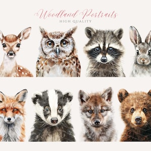 Woodland Animal Portraits, Woodland Clipart, Watercolor Woodland ...