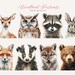 Woodland Animal Portraits, Woodland Clipart, Watercolor Woodland ...
