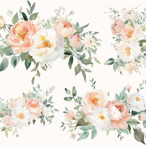Watercolor Peach Floral Clipart: Blush Flower Pngs (commercial Use ...