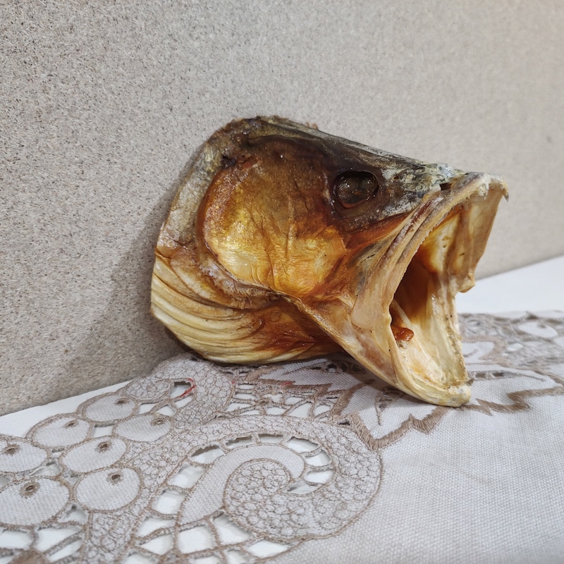 Fish Head - Etsy