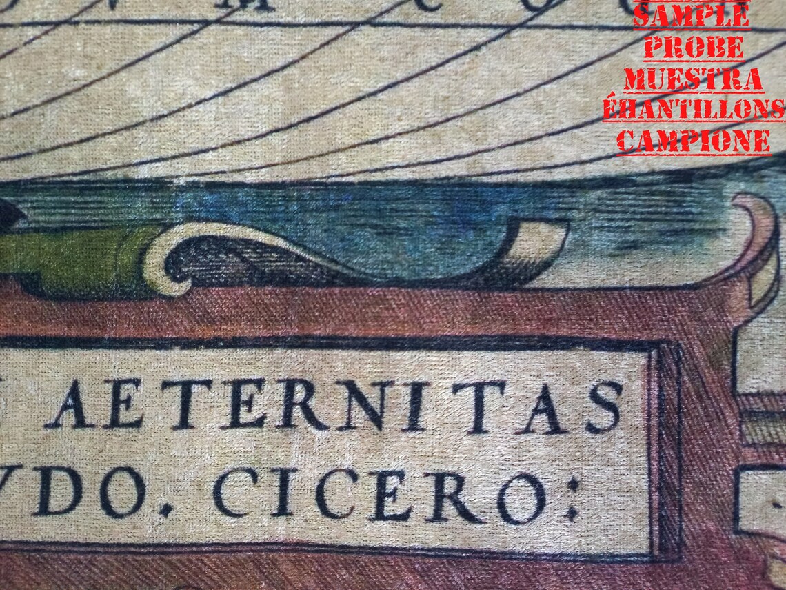 World Map Rug, Typus Orbis Terrarum Rug, Map Rug, Geography Themed ...