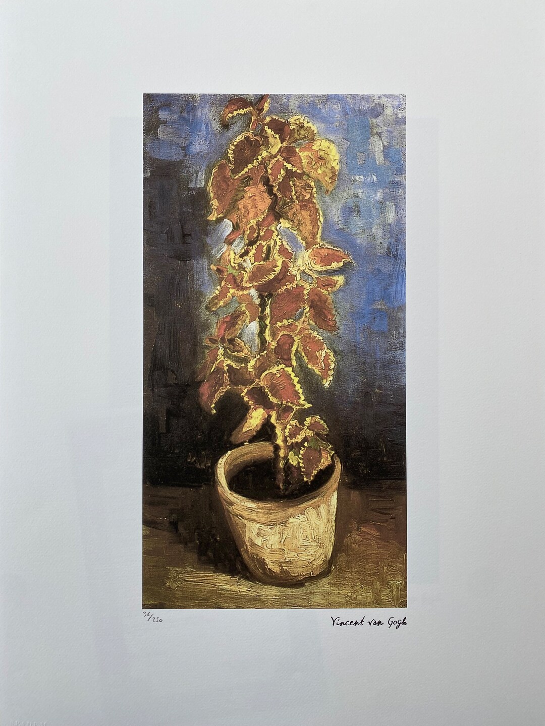 Vincent Van Gogh Lithograph Cm 50x70 Spadem Edition With Certificate of ...