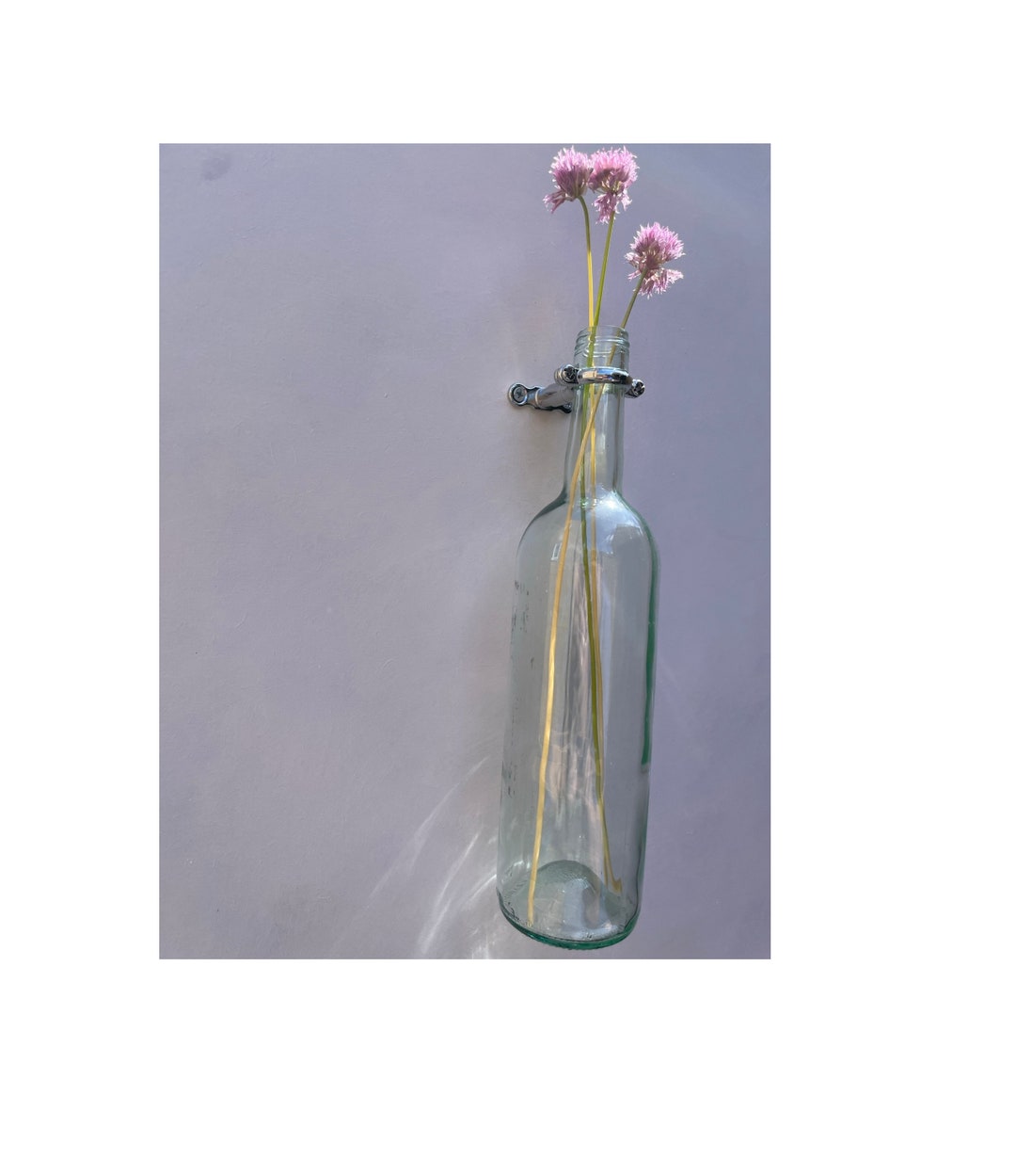 Floating Chrome Plated Solid Brass Bottle Hangers for Feature Wall ...